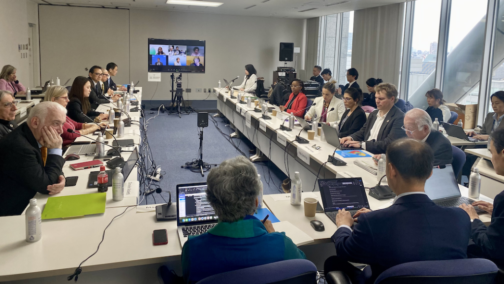 Global Expert Group Meeting in preparation of the SDG13 review at the HLPF 2024 | Department of ...